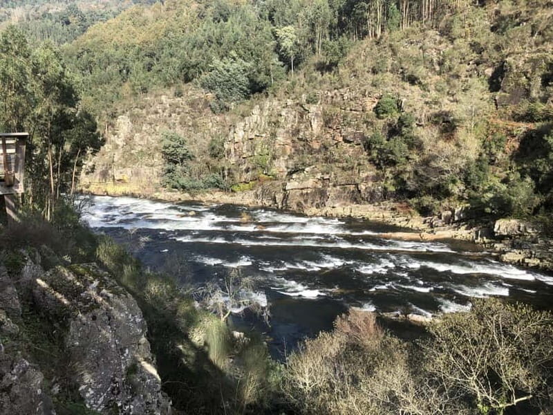 From Porto - Paiva Walkways and Suspension Bridge - The Experience from a Traveler’s Perspective