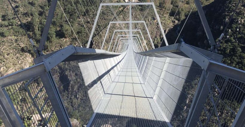 From Porto - Paiva Walkways and Suspension Bridge - Practical Tips for Travelers