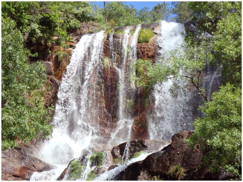 From Porto: Peneda-Gerês National Park Tour with Lunch - What Travelers Say