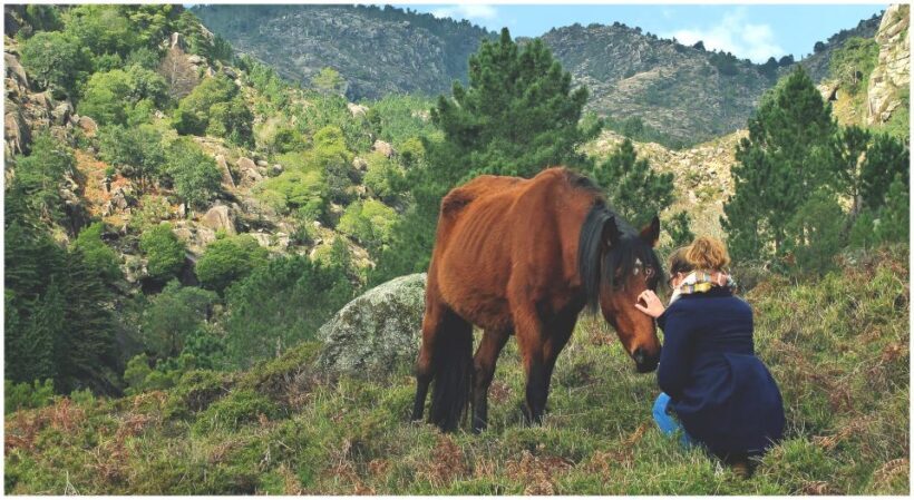 From Porto: Peneda-Gerês National Park Tour with Lunch - Frequently Asked Questions