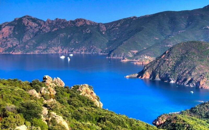 From Porto: Piana Creeks and Scandola Semi-Rigid Boat Tour - Who Will Love This Tour?