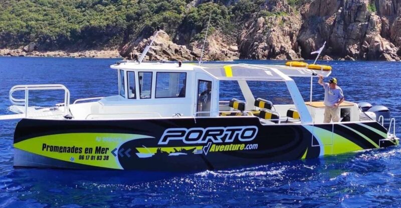 From Porto: Piana Creeks, Scandola on Family Boat - Practical Details and What It Means for You