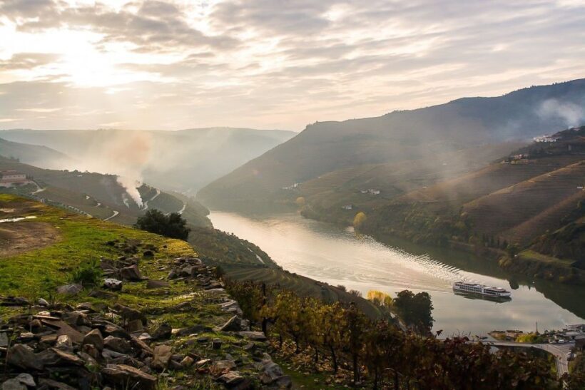 From Porto: Pinhão and Douro Valley Scenic Boat Tour - The Scenic Landscape