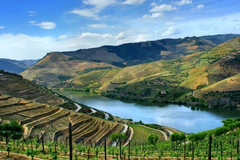 From Porto: Pinhão and Douro Valley Scenic Boat Tour - Analyzing the Value