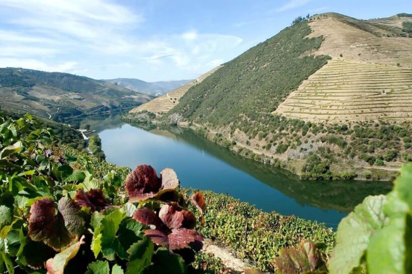 From Porto: Pinhão and Douro Valley Scenic Boat Tour - FAQ