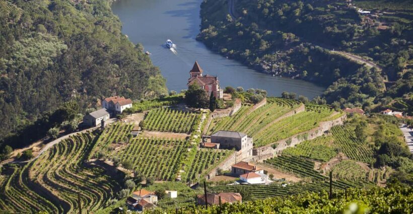 From Porto: Premium Douro Valley Small-Group Wine Tour - Introduction: A Taste of Portugal’s Most Famous Wine Region