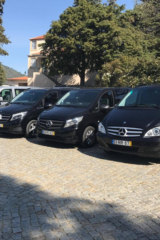 From Porto: Premium Douro Valley Small-Group Wine Tour - Analyzing the Value: Is It Worth It?