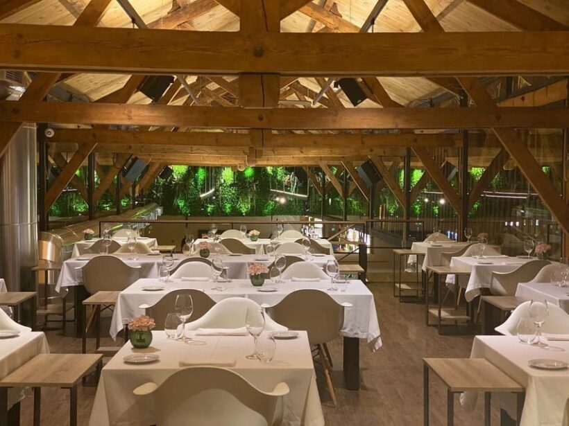 From Porto: Premium Douro Valley Small-Group Wine Tour - Who Should Consider This Tour?