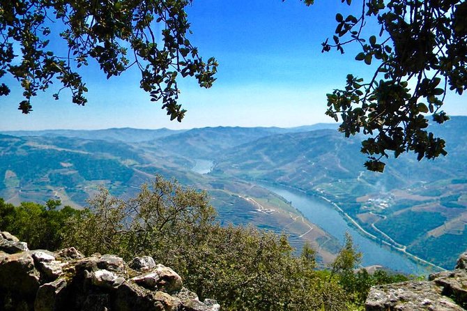From Porto: Private Douro Valley Tour - Scenic Drive and Photo Opportunities