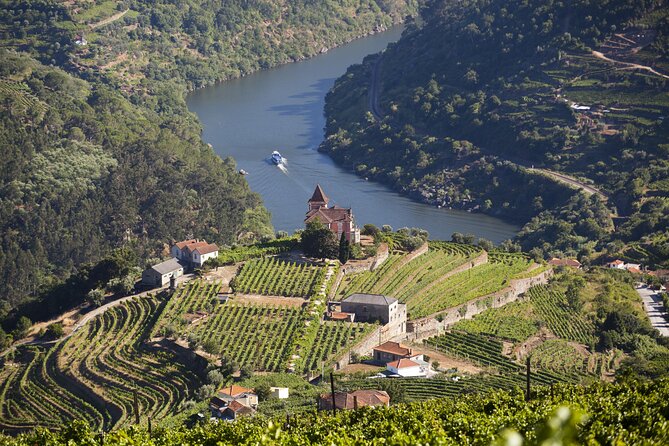 From Porto: Private Douro Valley Tour - What the Reviews Say