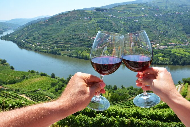 From Porto: Private Douro Valley Tour - Who Will Love This Tour?