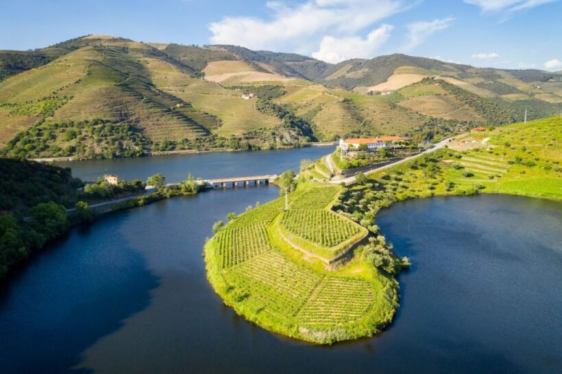 From Porto: Private Douro Valley Tour with Booking Service - The Itinerary and What Makes Each Stop Special