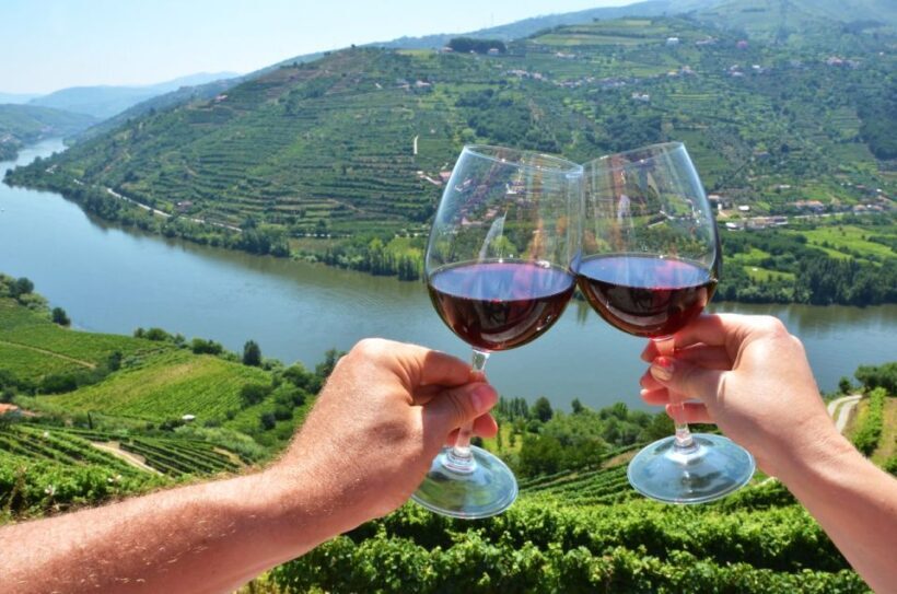From Porto: Private Douro Valley Tour with Booking Service - Who Will Love This Tour?