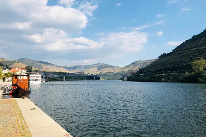 From Porto Private Tour Douro Valley Two Wineries, Lunch and Boat. - Exploring the Wineries