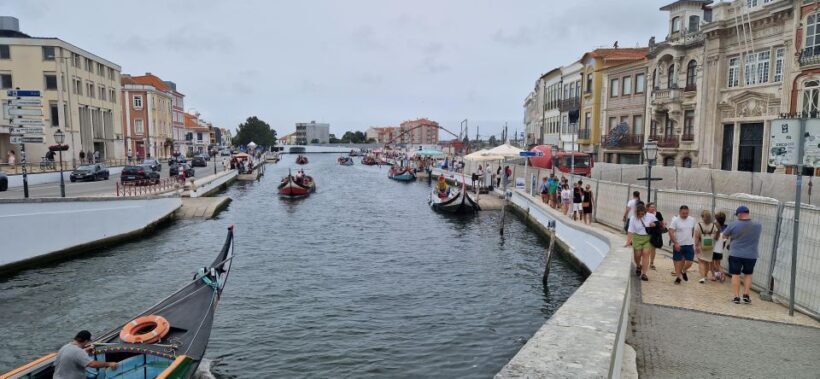 From Porto Private Tour Half Day in Aveiro and Costa Nova - Pricing and Value