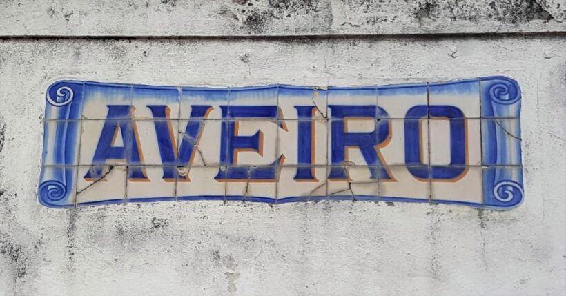 From Porto Private Tour Half Day in Aveiro and Costa Nova - Who Will Enjoy This Tour?