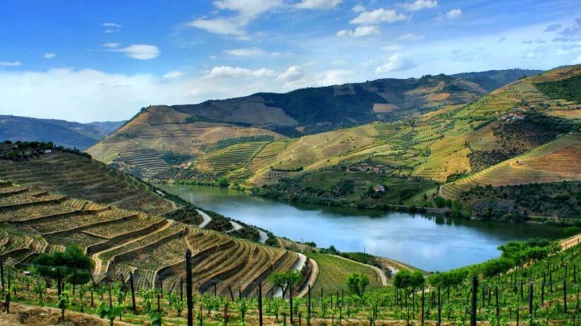 From Porto: Régua to Porto River Cruise with Lunch on Board - Exploring the Douro Valley from Porto: A River Cruise with Lunch