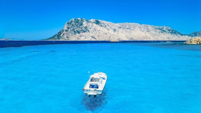 From Porto San Paolo: 4-hour boat tour to Tavolara - Key Points