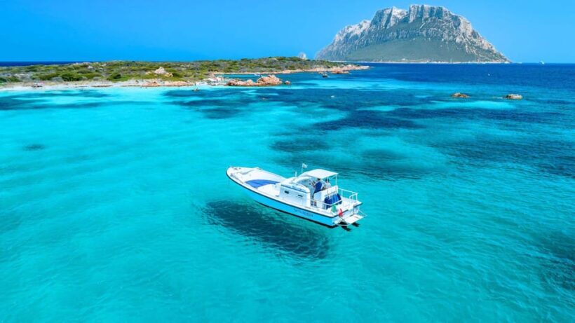 From Porto San Paolo: 4-hour boat tour to Tavolara - The Sum Up