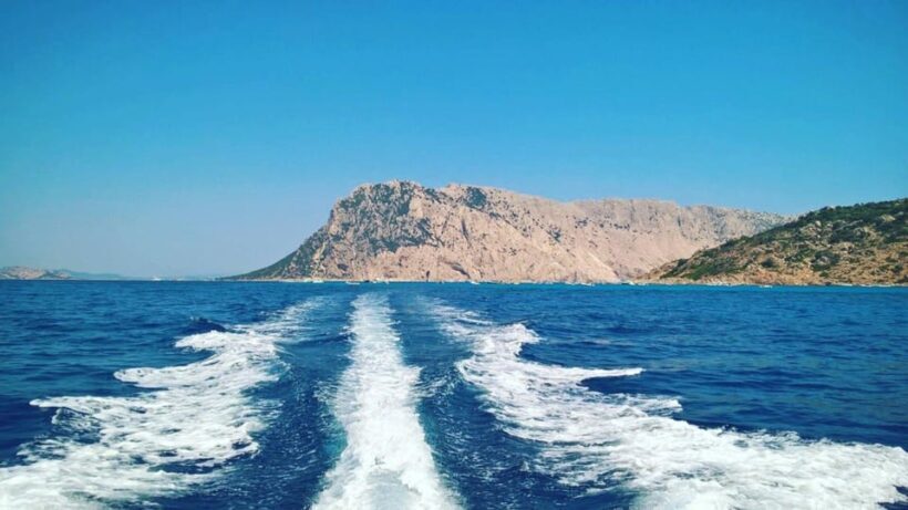From Porto San Paolo: 4-hour boat tour to Tavolara - FAQ