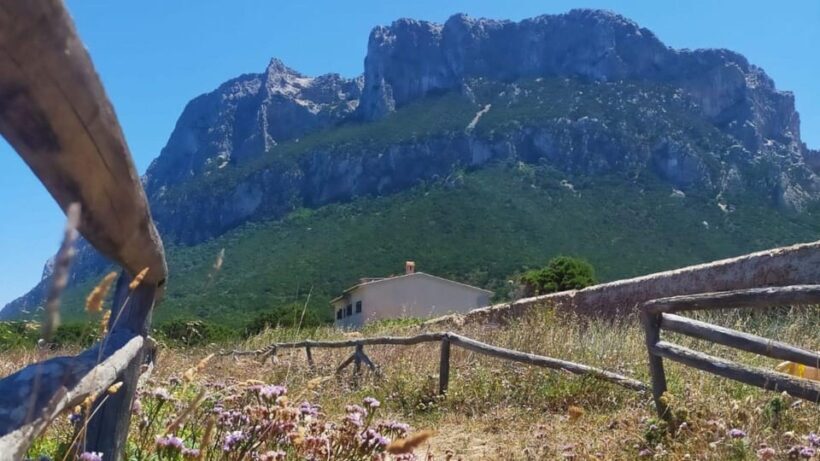 From Porto San Paolo: coastal trekking around Tavolara - What Previous Travelers Say