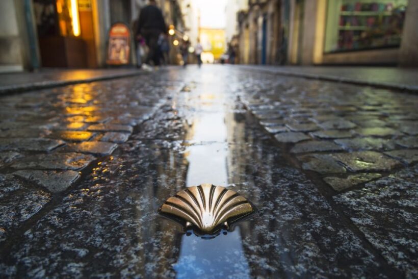 From Porto: Santiago de Compostela Full Day Tour - Analyzing the Overall Value