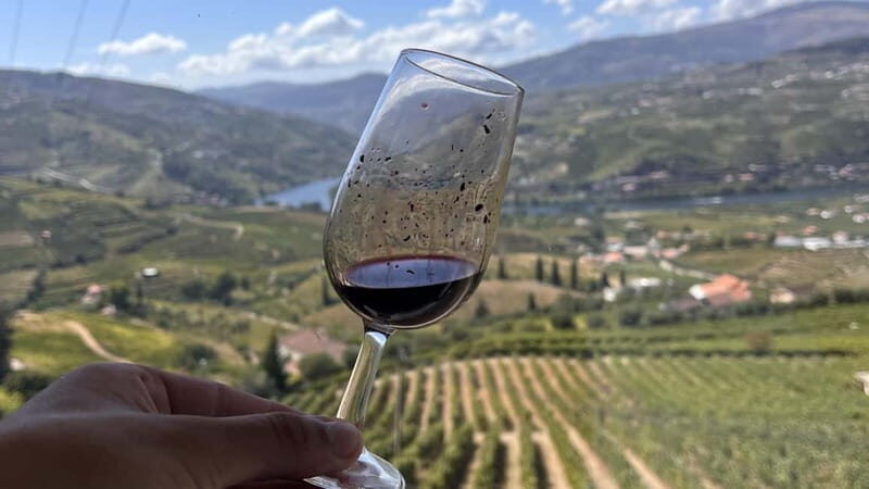 From Porto: Tastings at 2 Wineries, Chef's Lunch & Boat Tour - Who Is This Tour Best For?