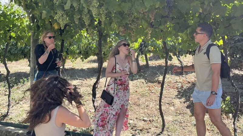 From Porto: Tastings at 2 Wineries, Chef's Lunch & Boat Tour - Final Thoughts