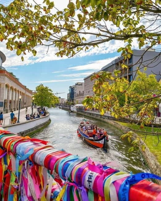 From Porto to Aveiro & Costa Nova: 1-day pass (Small Groups) - What Travelers Can Expect