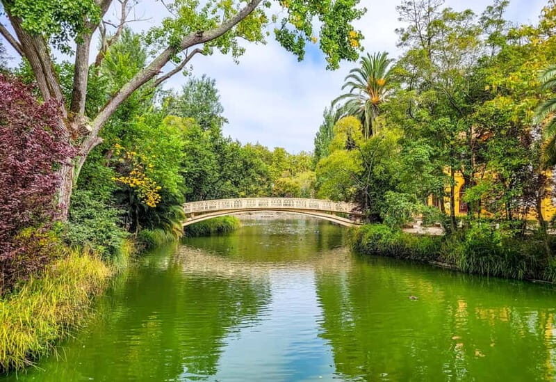 From Porto to Aveiro & Costa Nova: 1-day pass (Small Groups) - FAQ