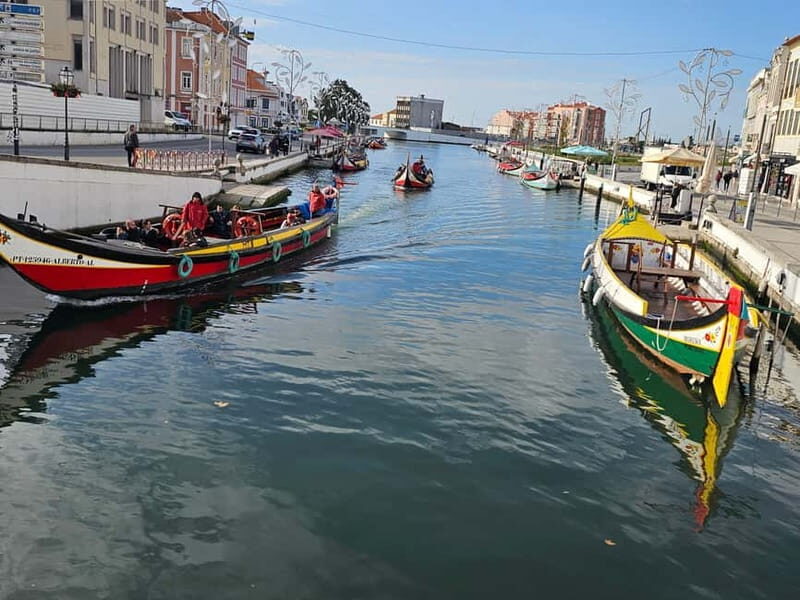 From Porto to Aveiro: Cruise, Aves, Salinas, Costa Nova, and Vista Alegre - Frequently Asked Questions