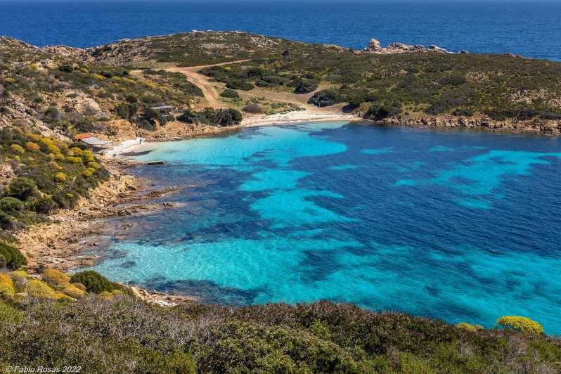 From Porto Torres: electric bicycle rental - Key Points