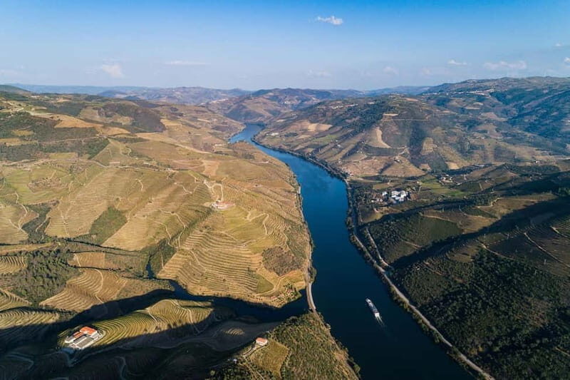 From Porto: Wine Tasting with Lunch at a Quinta, Cruise, and Train Ride - An Overview of the Experience