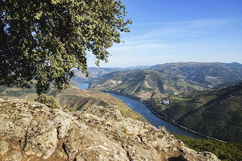 From Porto: Wine Tasting with Lunch at a Quinta, Cruise, and Train Ride - Frequently Asked Questions