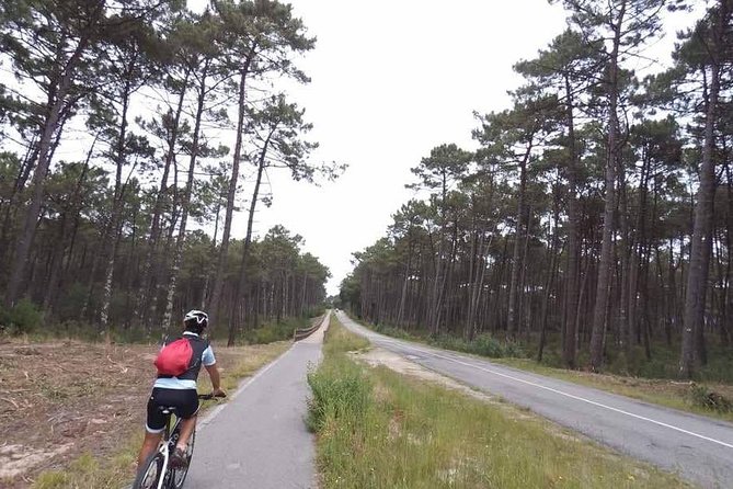 From Porto With View to Gaia: Private Bike Tour #Ducksideofporto - Personalized Experience With a Private Guide