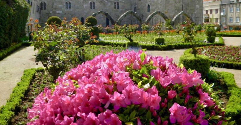 From Porto: Wonders of Braga & Guimaraes Private Day Trip - Who Will Love This Tour?