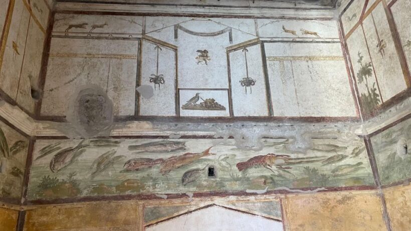 From Positano: Pompeii & Vesuvius tour small group - Final Thoughts