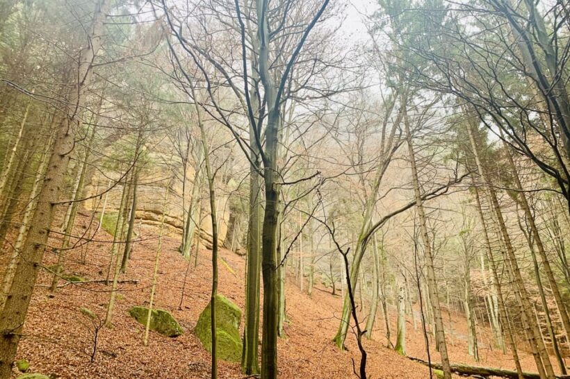 From Prague: Bohemian and Saxon Switzerland Full-Day Tour - Final Thoughts