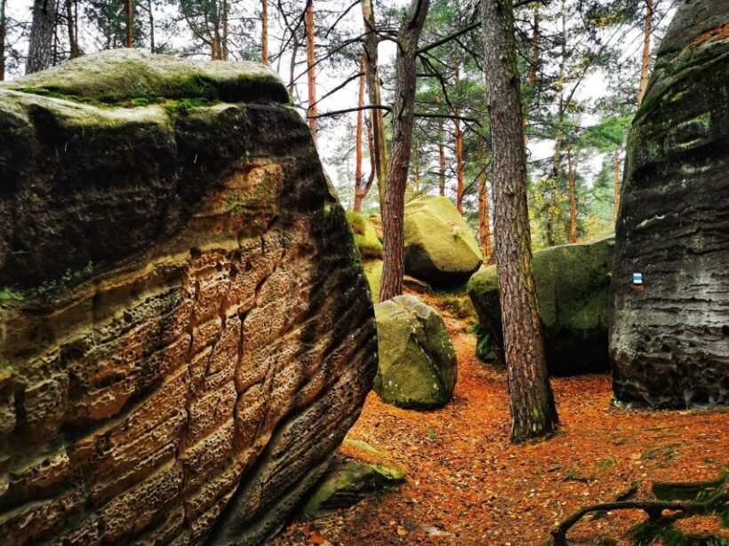 From Prague: Bohemian Paradise - Full-Day Hiking Trip - The Sum Up: Is This Trip Worth It?