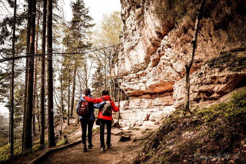 From Prague: Bohemian & Saxon Switzerland All-Inclusive Tour - What the Reviews Say