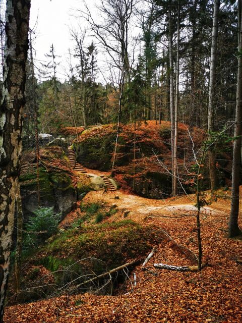From Prague: Full-Day Bohemian Paradise Guided Hiking Trip - A Detailed Look at the Prague to Bohemian Paradise Experience