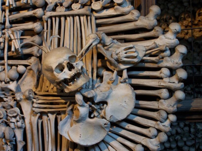 From Prague: Kutná Hora Day Excursion with Bone Church - Who Will Love This Tour?