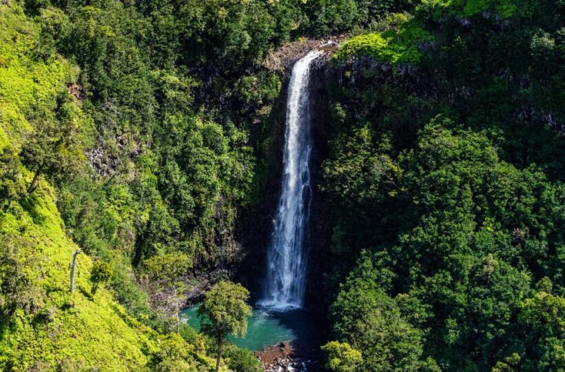 From Princeville: Discover Kauai Helicopter Tour - Final Thoughts