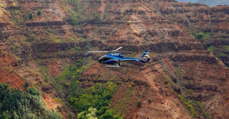 From Princeville: Discover Kauai Helicopter Tour - Who Should Consider This Tour?