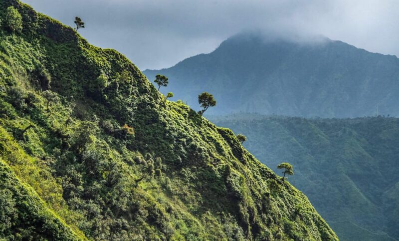 From Princeville: Discover Kauai Helicopter Tour - Final Thoughts