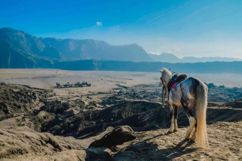 From Probolinggo: 2-Day Bromo & Ijen Tour w/ One-Night Stay - Transportation, Accommodation, and Logistics