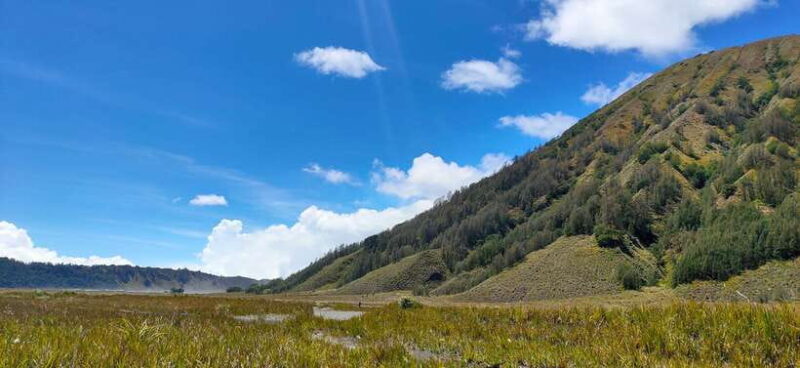 From Probolinggo: Mount Bromo Sunset Tour by Land Cruiser - FAQ