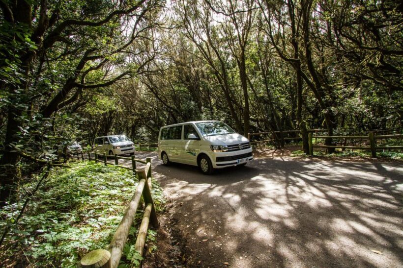 From Puerto de La Cruz: Full-Day Vip Tour to Gomera - Final Thoughts: Who Will Love This Tour?
