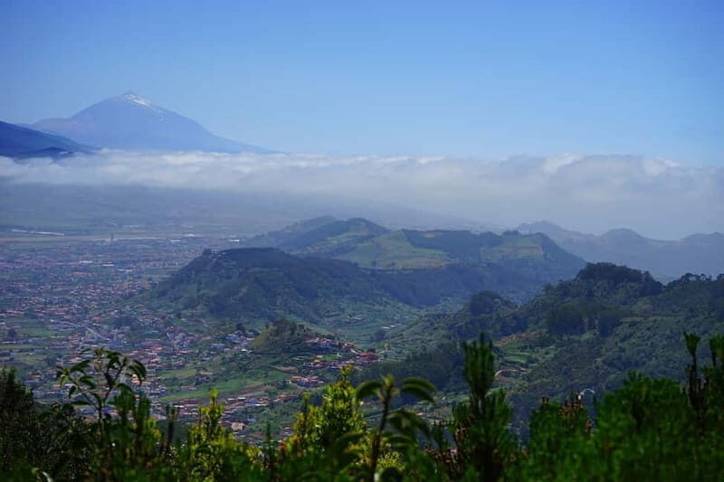 From Puerto de La Cruz: VIP Tour Around Anaga and La Laguna - What Travelers Are Saying