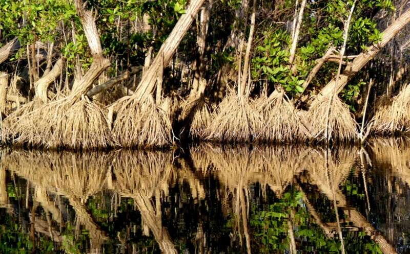 From Puerto Escondido: Birdwatching on a Boat - Discover the Natural Charm of Puerto Escondido: Birdwatching on a Boat